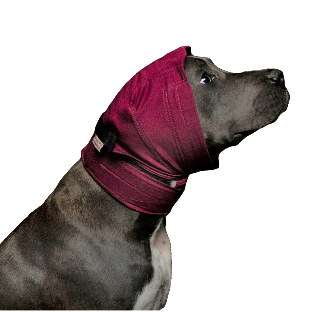 No Flap Ear Wrap | Pet Headwraps | No Flap Ear Wrap