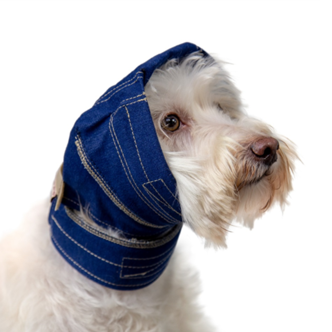 No Flap Ear Wrap | Pet Headwraps | No Flap Ear Wrap